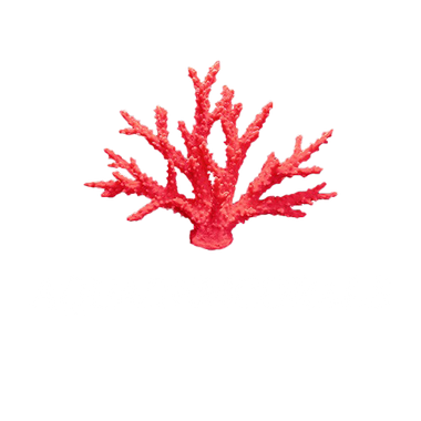 Affordable Corals For Sale | Next Day Shipping Available